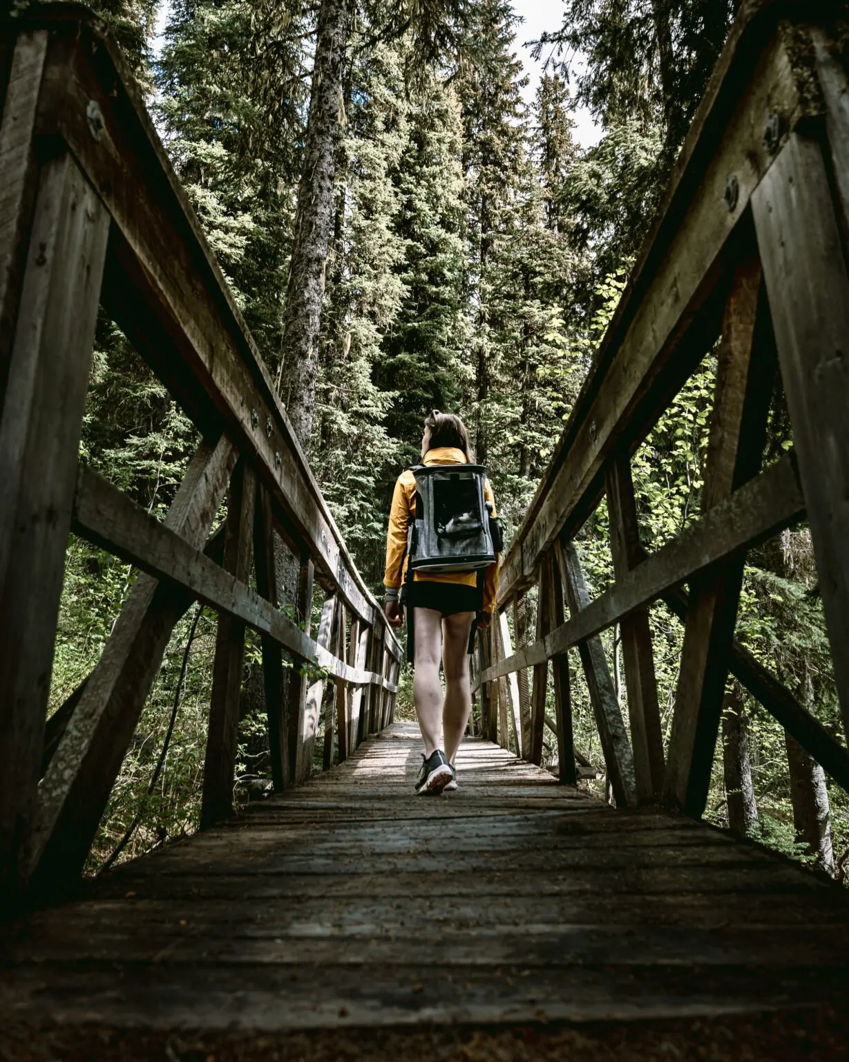 18 Wonderful Things to Do in Nelson, Bc: the Ultimate Travel Guide ...