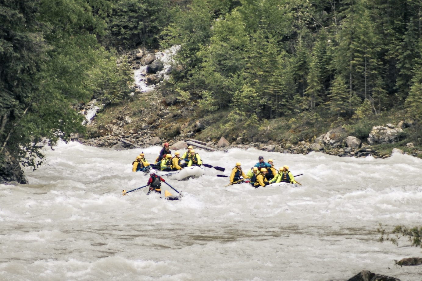 Taking On The Big Waves: Kicking Horse White Water Rafting in Golden ...