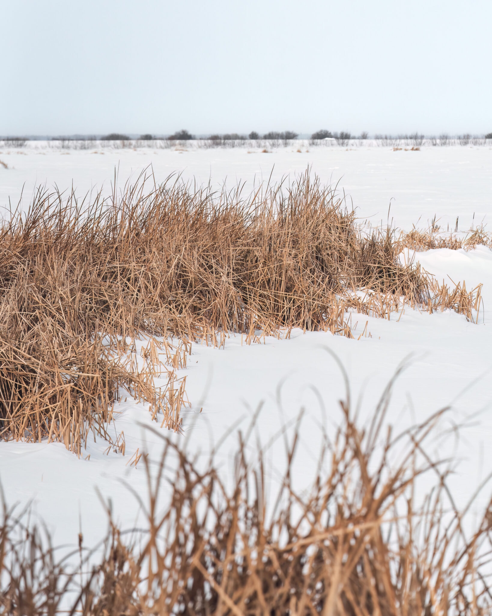 Discovering Hecla Island: The Ultimate Winter Escape | Non Stop Destination